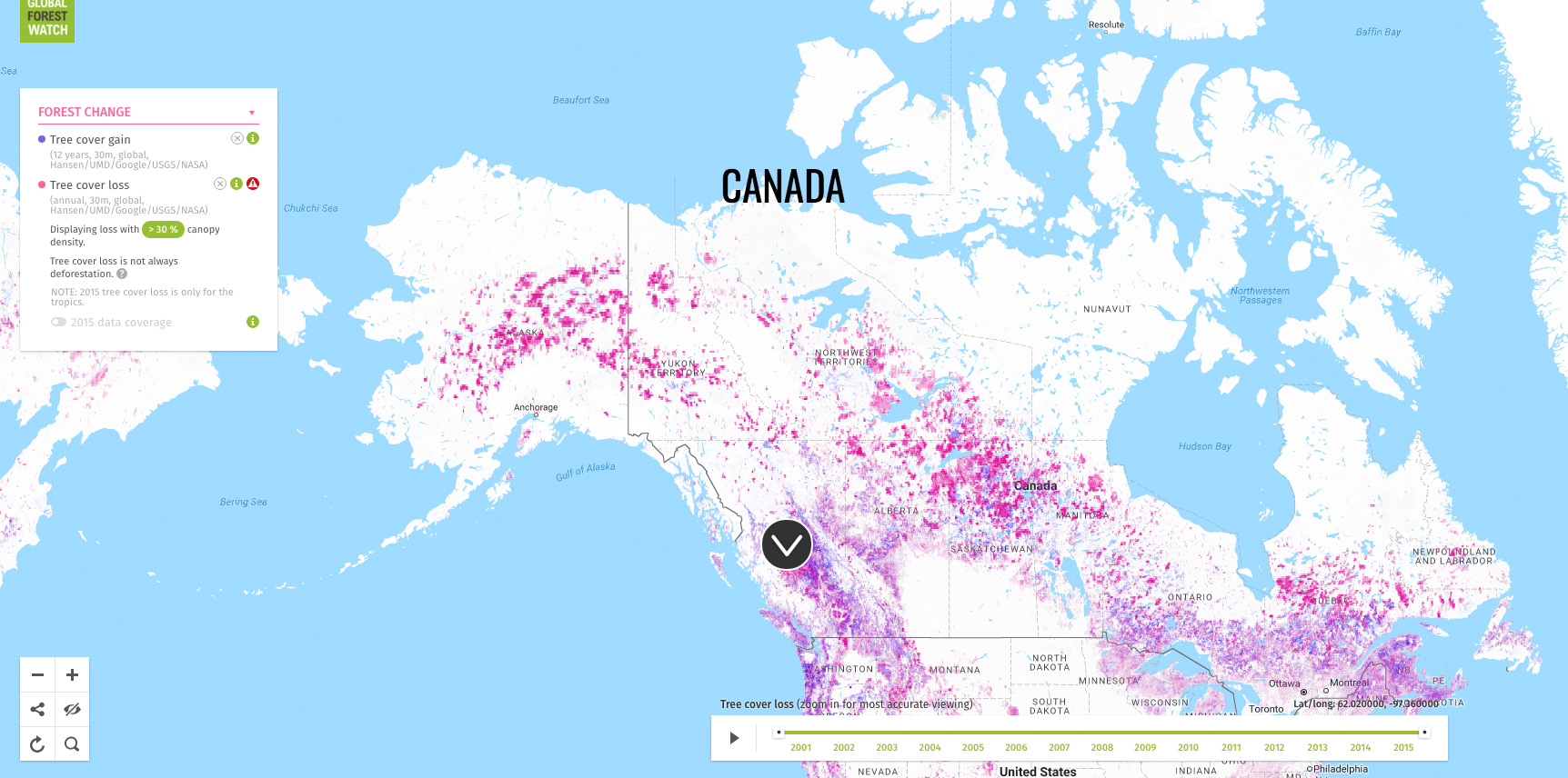 Solocube Creative Becomes Reforestation Partner With One Tree Planted